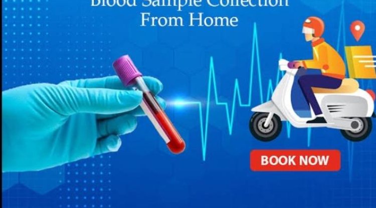 Home Blood Collection in Bangalore: Convenient, Safe, and Accurate ...